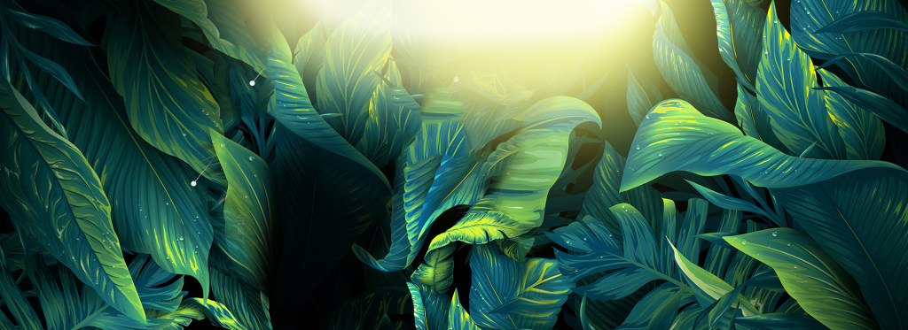 Zeonrek (@cannibalhulk) | daily.dev