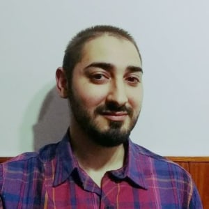 Shared post at Primary Tech | daily.dev